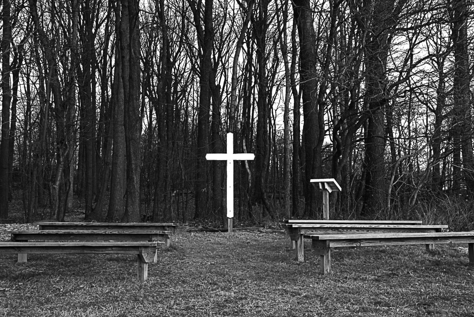 Psalm 13 How Long O Lord Joemarino